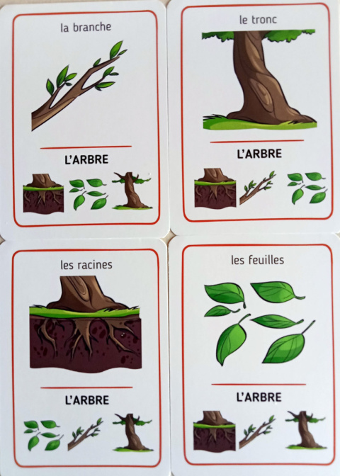 Le jeu des Quatuors > ELI